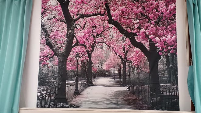 足立区☆葛飾区☆格闘技や運動、子供とママ会、撮影に!!全面80㎡、レスリングマット敷き!子ども用体育用具多数、無料貸出し!の写真11