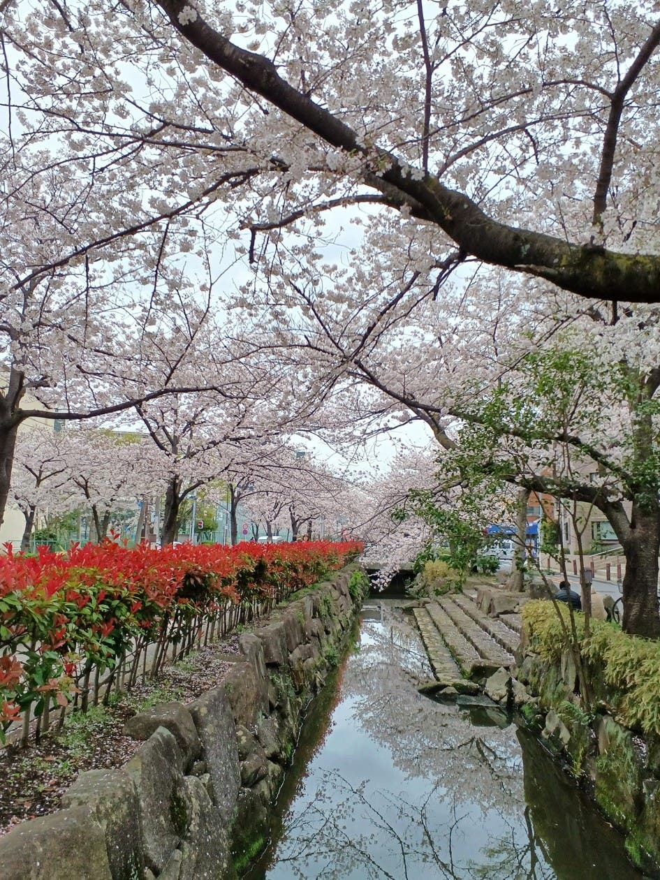 足立区☆葛飾区☆格闘技や運動、子供とママ会、撮影に!!全面80㎡、レスリングマット敷き！子ども用体育用具多数、無料貸出し!の写真8