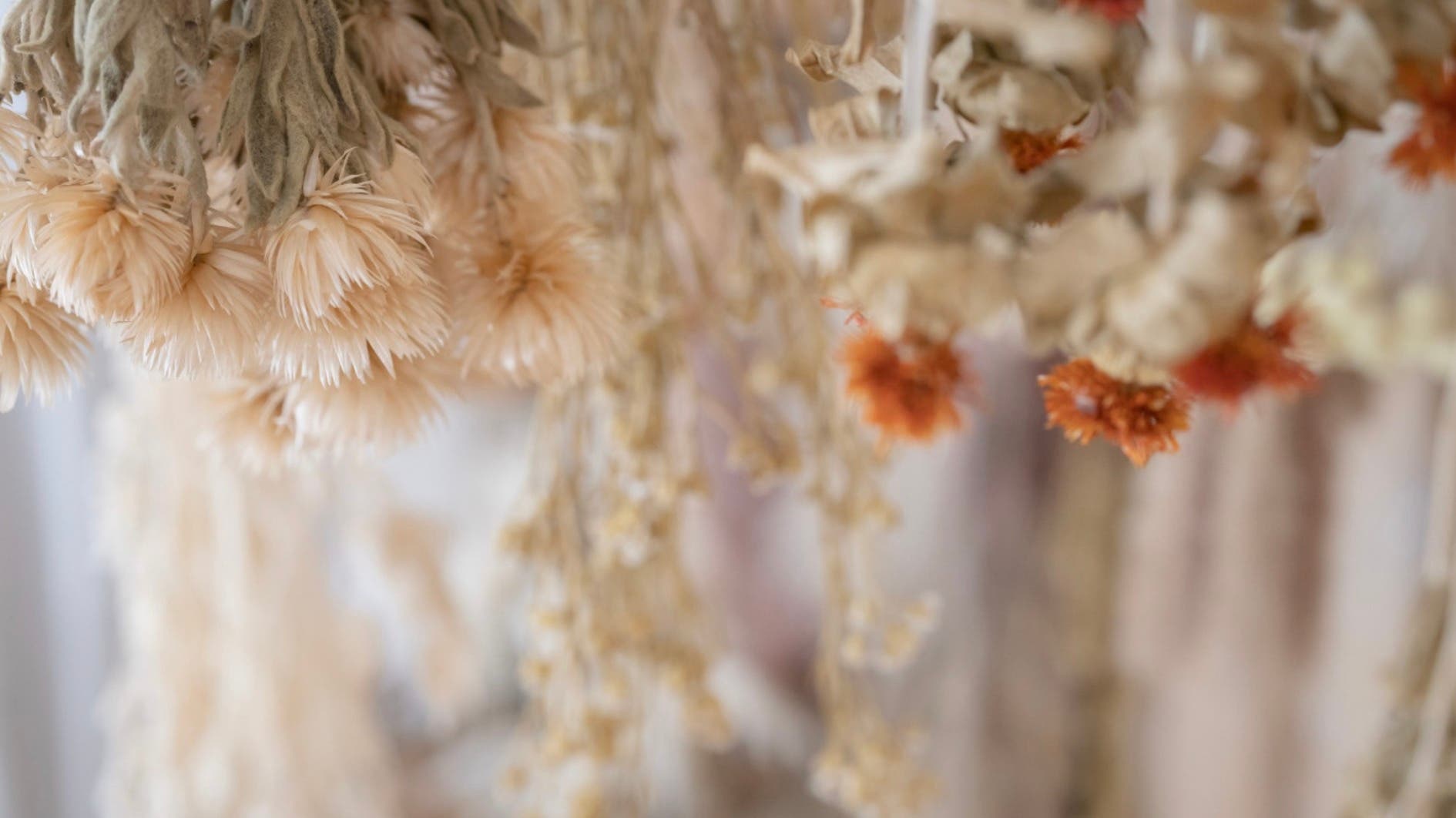 【奈良真美ケ丘スタジオ】フォトスタジオが運営する多目的なレンタルスペースの写真8