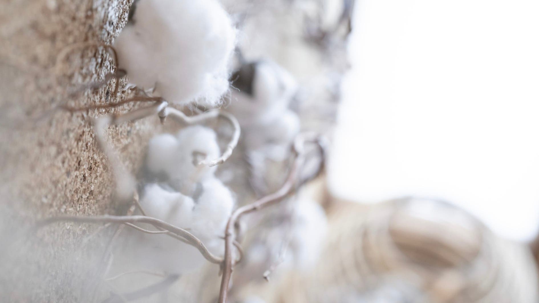 【奈良真美ケ丘スタジオ】フォトスタジオが運営する多目的なレンタルスペースの写真11