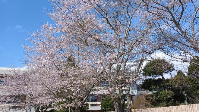 【電源有】絶対に懐かしい学校の教室レンタル!【Wi-Fi有】の写真2