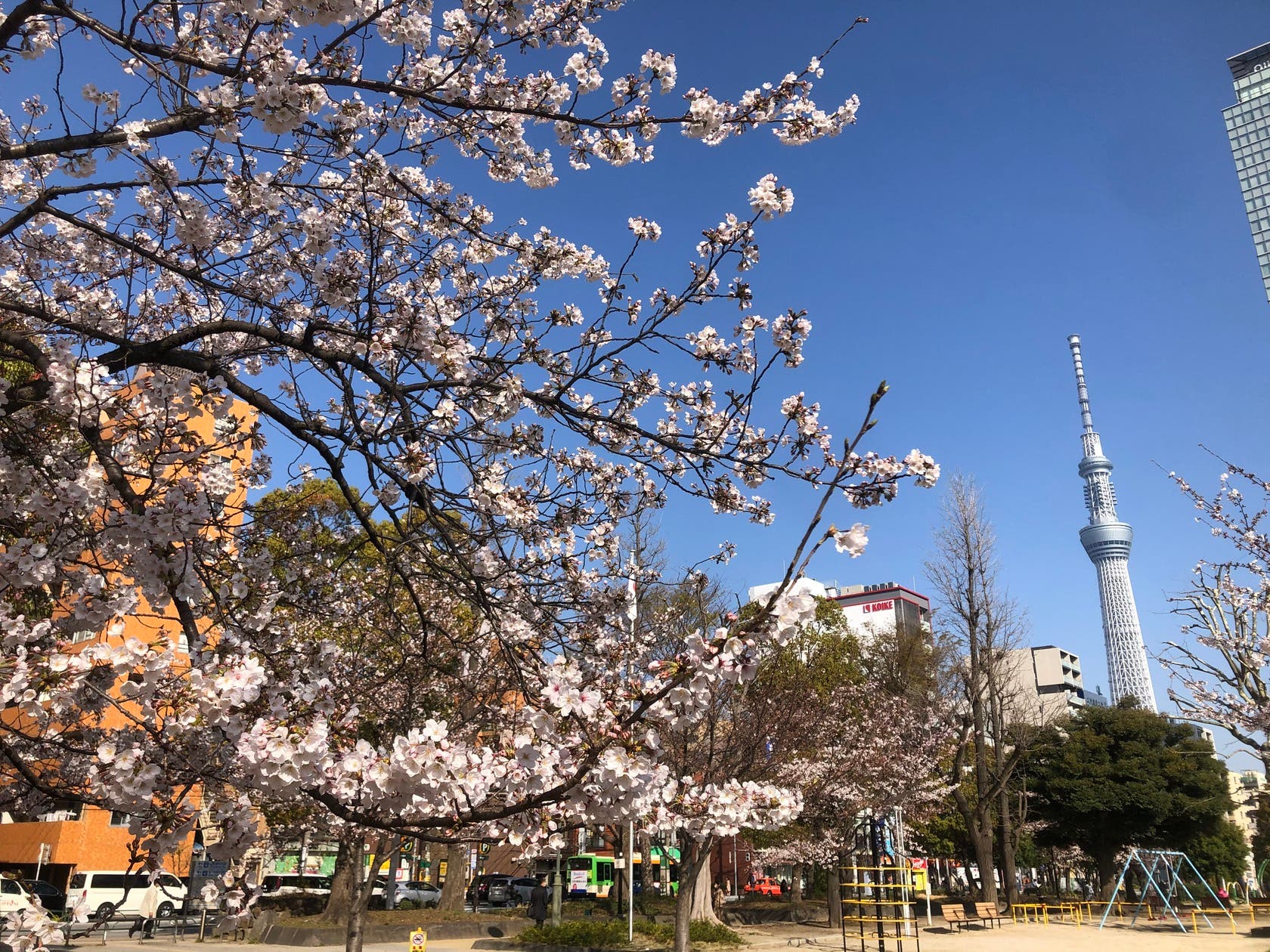 [3A] 錦糸町駅チカのワークスペース テレワーク 勉強 ミーティング Wi-Fi 電源完備 錦糸公園 ショッピングモール１分の写真24