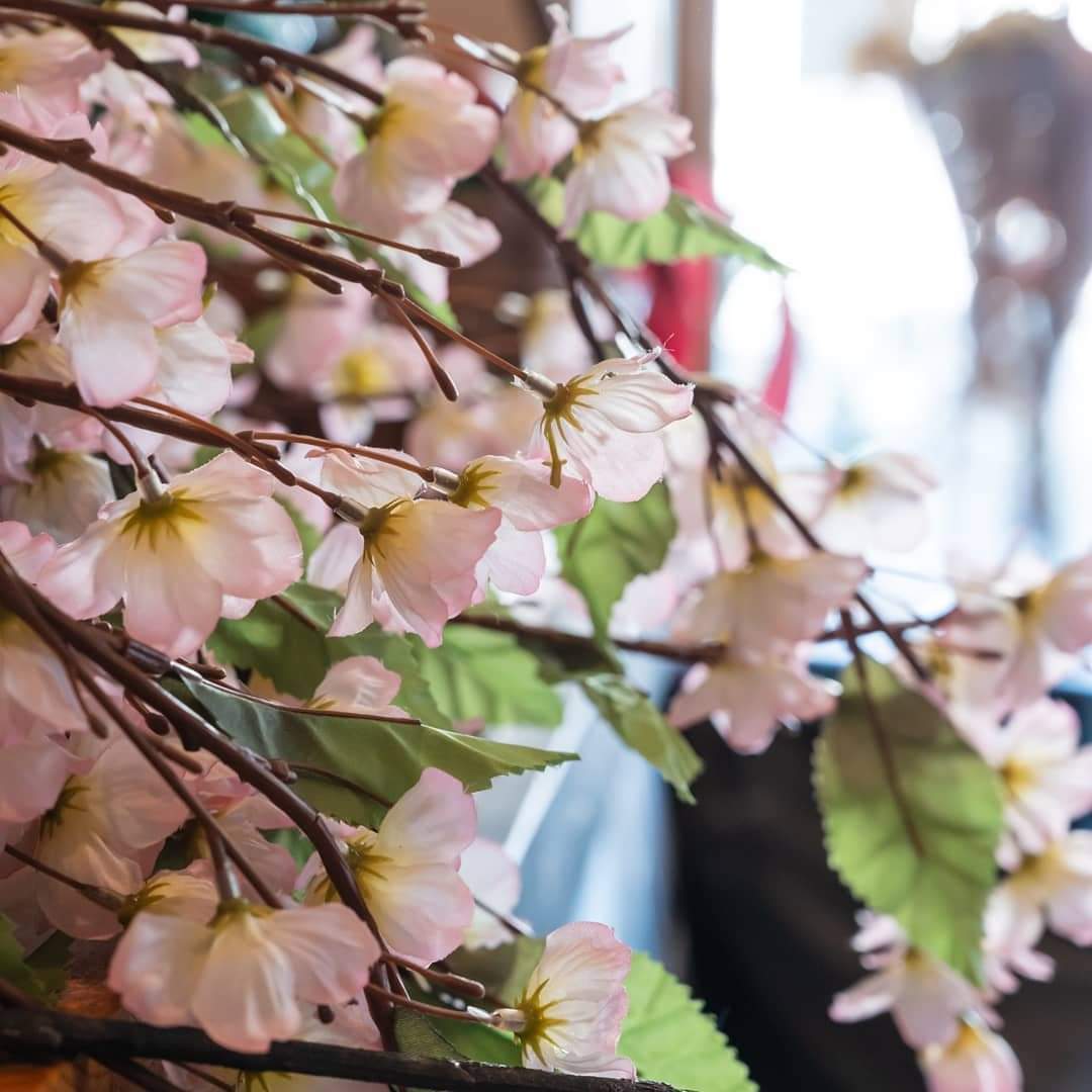 キッチン使用▶WiFi音響プロジェクター 阪神三宮から特急１駅 神戸 東灘 御影・石屋川（駅から5分）のカフェスペースレンタルの写真19