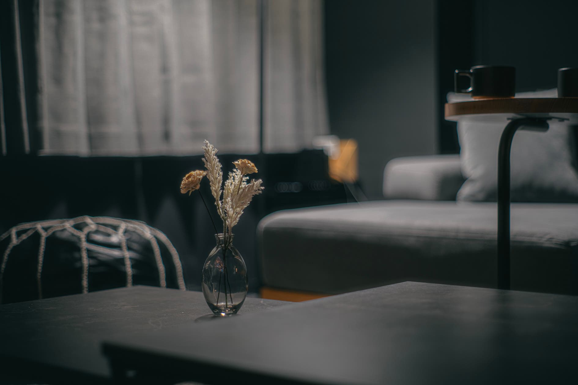 スペモ🎬クリスマス🎄学割👨‍🎓映画鑑賞🍿スクリーン✨プロジェクター👀ゲーム🎮デート🌙525_CINEMA上野の写真19