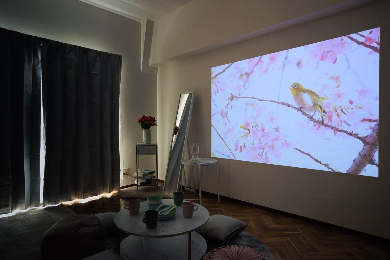 駅からすぐ！浜松駅徒歩2分🚶‍♀️100㌅プロジェクター🪄クリスマス🎄パーティー、忘年会にもどうぞの写真4