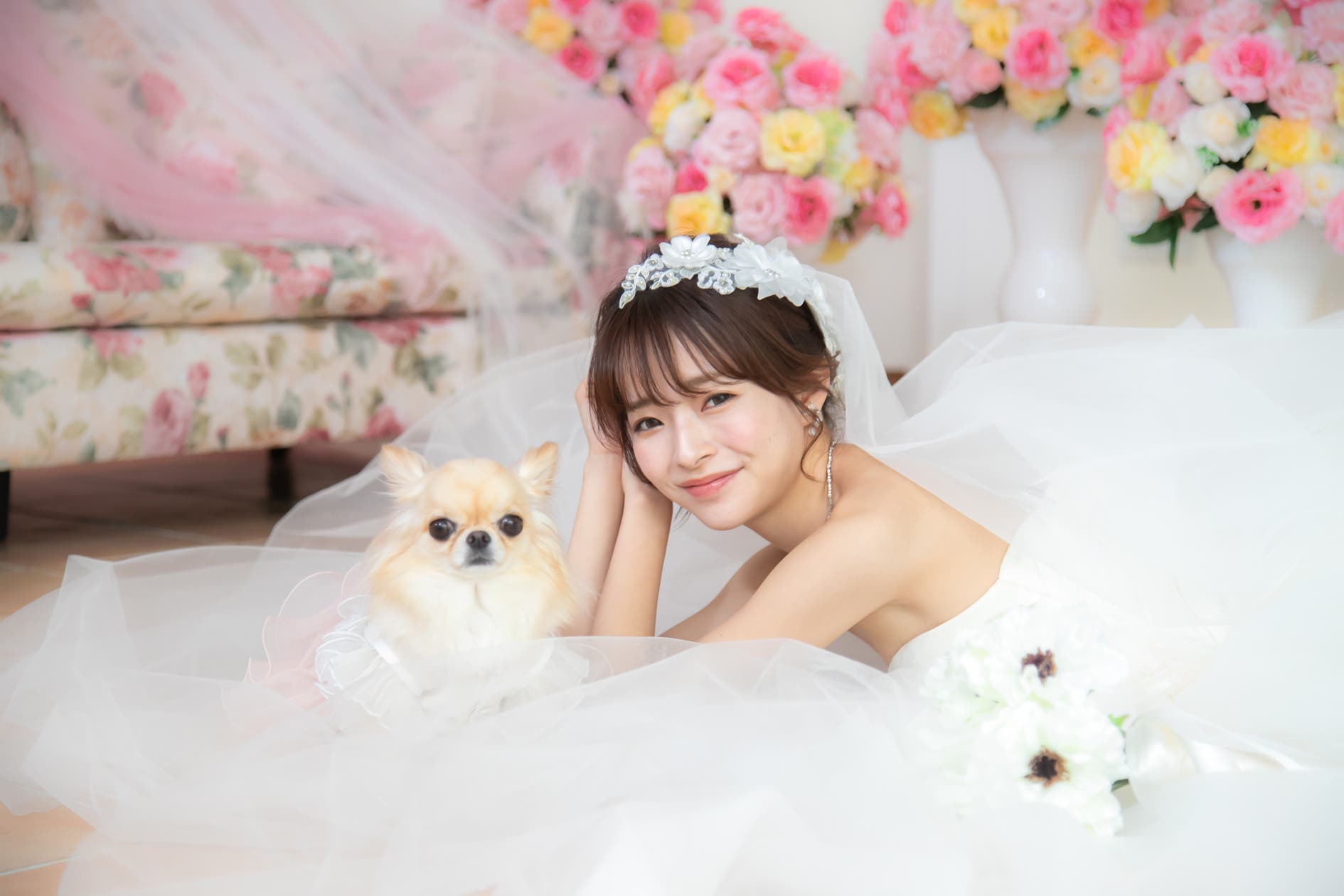 ペット持ち込み（小型犬のみ）の画像1