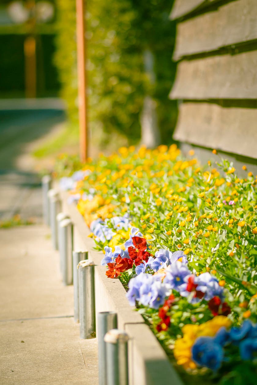 成田空港から約25分 / 無料送迎 / 築250年古民家一棟貸し / ハウススタジオの写真23