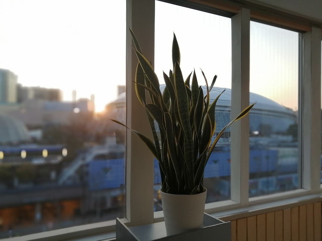 水道橋徒歩1分/自然光【限定格安プランあり】直射光の差し込むサンルーム/様々な背景、壁を撮影可/ビュースタジオの写真27