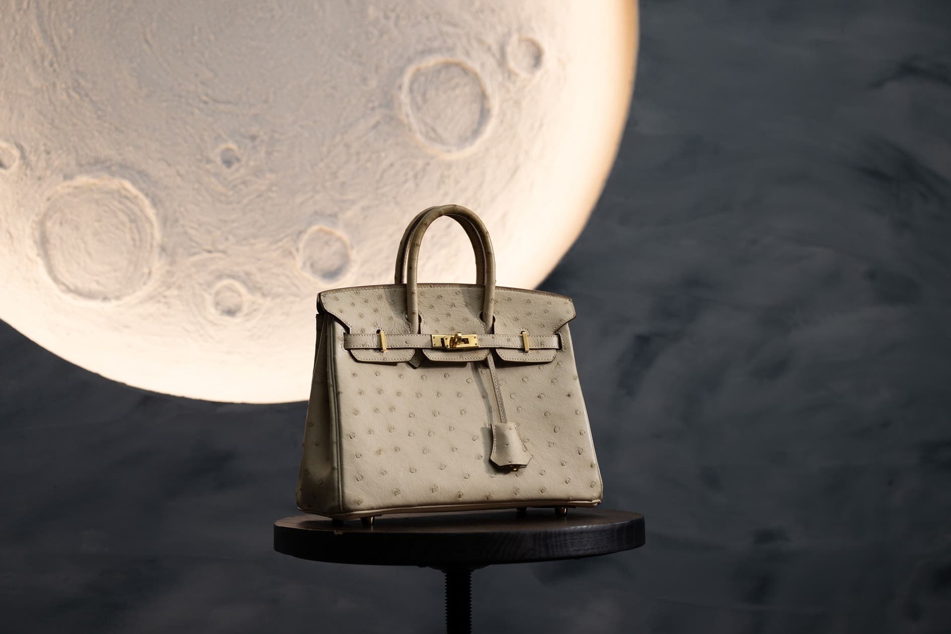 満月のグラデーションと超大型ドライフラワー造形｜一日中自然光が降り注ぐ本格撮影スタジオ｜大型バルコニー有の写真21