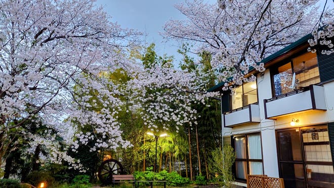 【相模原市】上溝駅徒歩7分。一軒家マルチスペース。Switch2無料。多彩な部屋と広い庭のある隠れ家的寛ぎ空間。駐車無料。の写真20