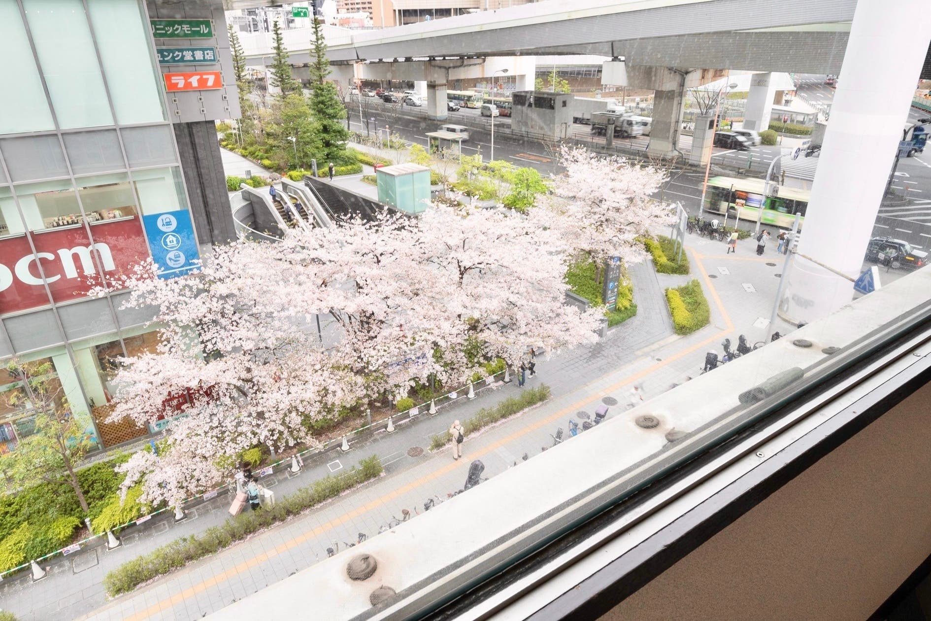【なんば駅すぐ】おしゃれ空間✨最大35名🎉各種イベント🎈ビジネスシーンなど🎙️自然光で撮影にも最適🎬持込🉑／リアンの写真29