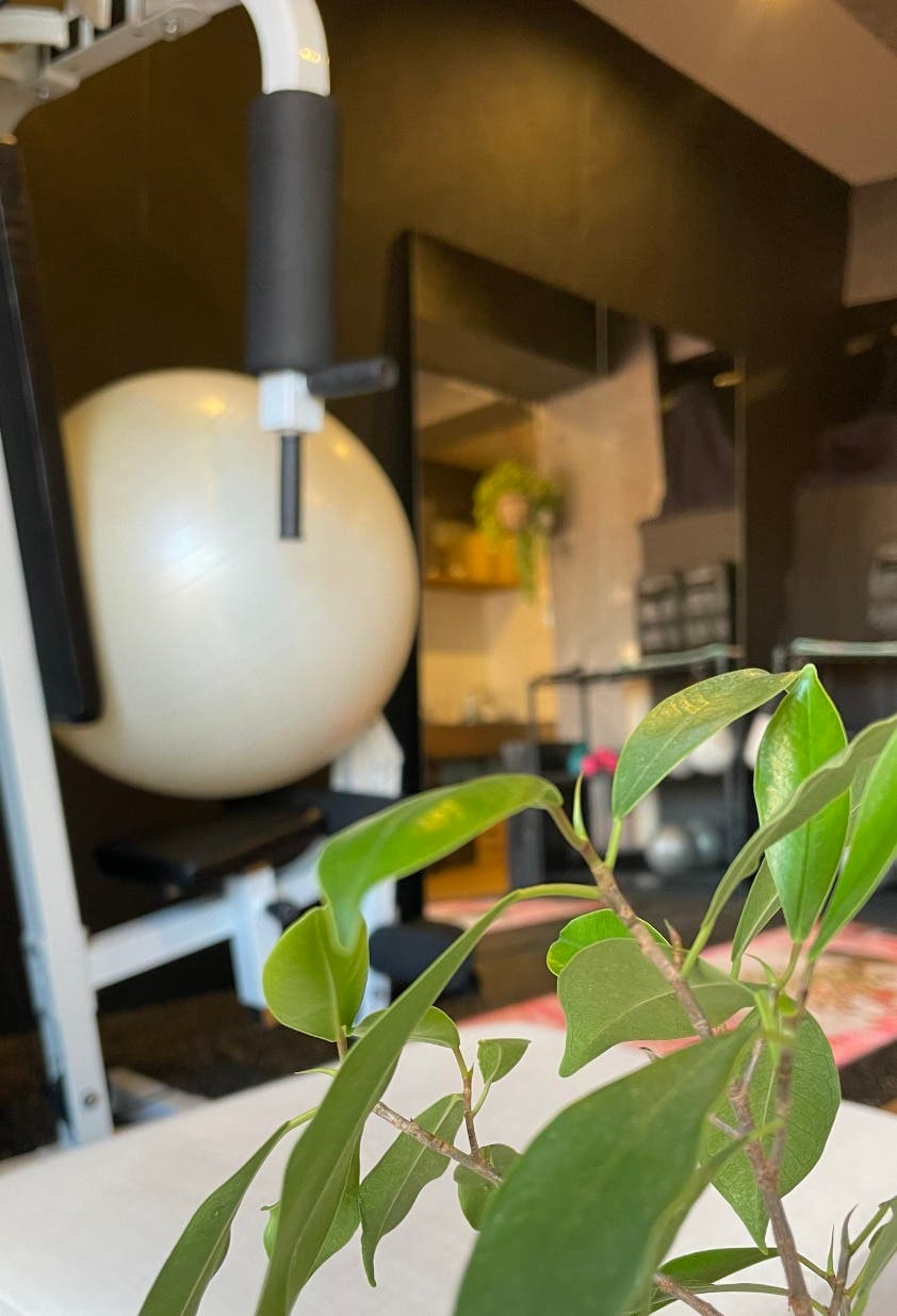 【赤坂駅徒歩3分】個人・パーソナルトレーニング指導/施術/撮影利用できるジムサロンの写真6