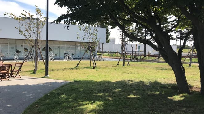 【BRANCH札幌月寒】屋外Aゾーン(シンボルツリー付近)の写真4