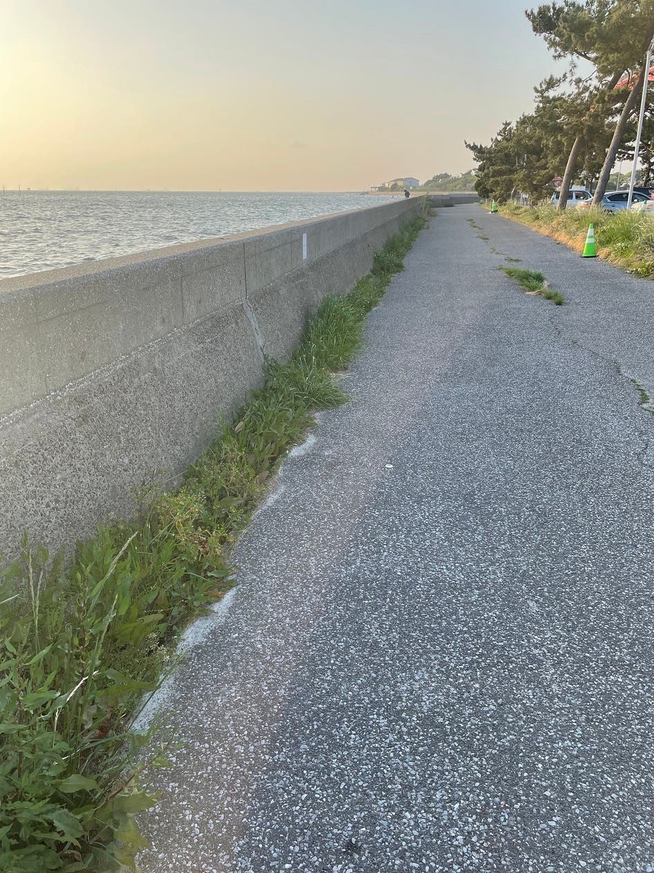 【鳥居崎海浜公園】北側駐車場（防波堤側通路）の写真2