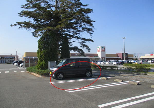 【ヨークタウン坂東】もみの木　下の写真2