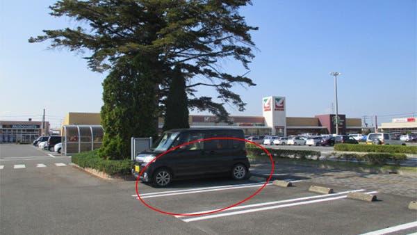 【ヨークタウン坂東】もみの木 下の写真2