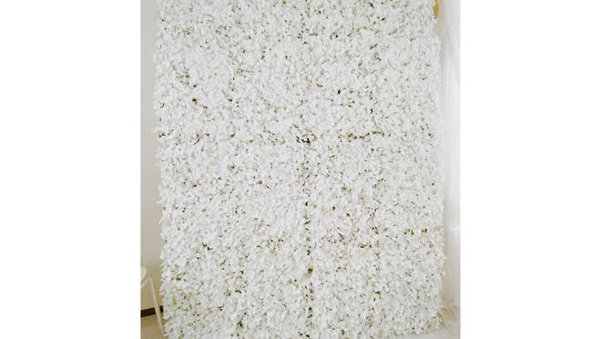 秋葉原最大規模の姫エリア(白/黒)✨豊富な自然光🌞本物の大型漆喰壁🥀花壁/広々40㎡/大型背景紙7種/グリーンバックの写真23