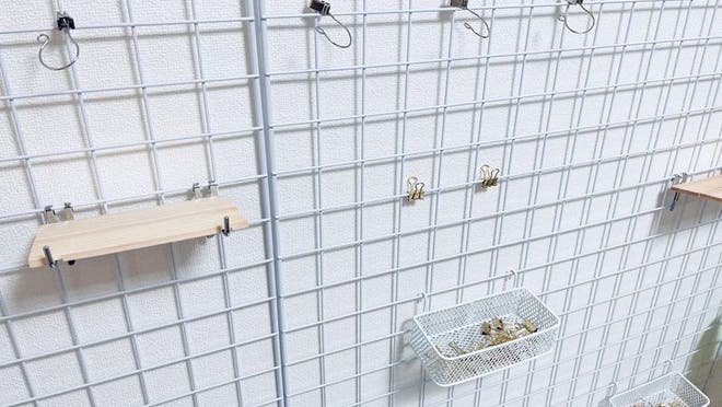 〈モア梅田〉梅田徒歩!新型プロジェクター設置✨ゴミ捨て無料📱コンビニ近く❣リングライト設置の写真10