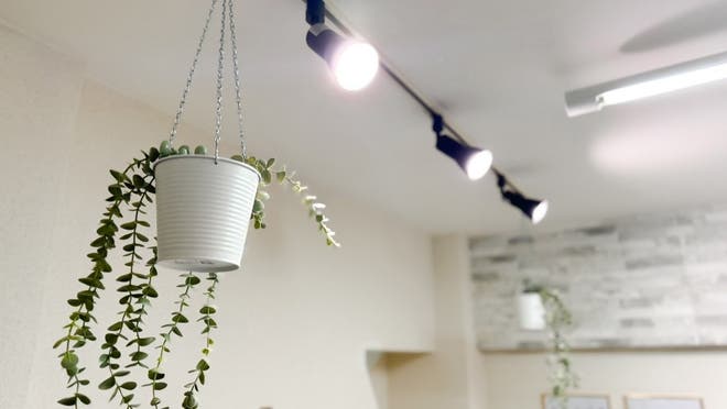 NEW🉐心斎橋駅徒歩3分🌟デート❤️撮影📷推し活🌟タコパ🐙会議・デスクワーク・テレワーク・24H🏪Blanc心斎橋の写真16