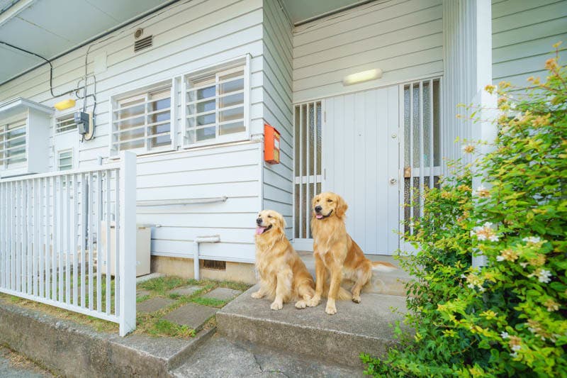 米軍ハウスのような生活感・自然光・ペットOK・ポートレート・商品・インタビュー・都立公園まで80mロケも同時決行◎の写真4
