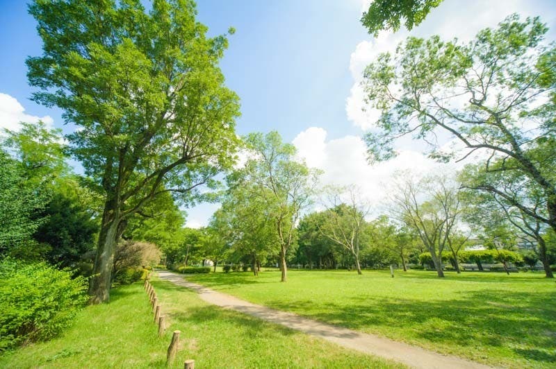 米軍ハウスのような生活感・自然光・ペットOK・ポートレート・商品・インタビュー・都立公園まで80mロケも同時決行◎の写真15