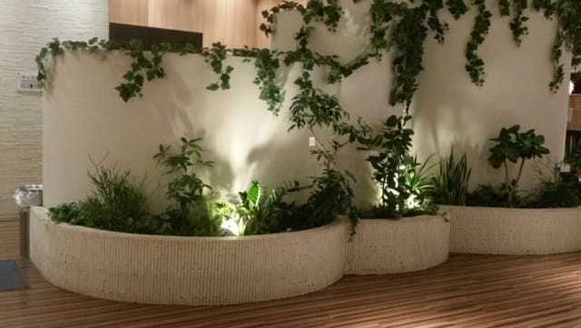 【BRANCH神戸学園都市】1F フードコート 森のトイレ前の写真2