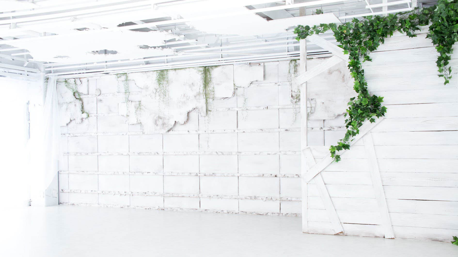 👑推し活💕祭壇🎂本人不在の生誕祭🎉撮影スタジオ📷クオリアサニースタジオ新大阪店別館の写真13