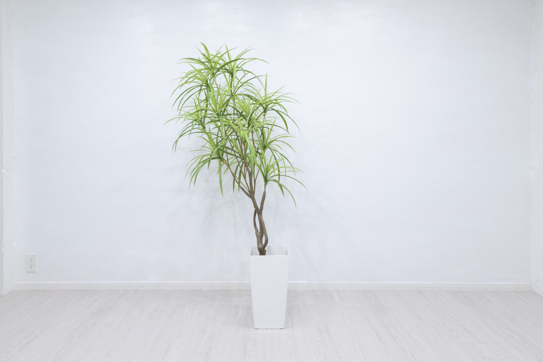 ◇白壁レンタルスタジオ◇　様々な用途で利用可/メイクルーム有の写真19