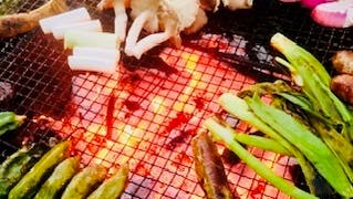 SOLISのお庭┃BBQ 焚き火 デイキャンプに┃1人でもご家族、愛犬との写真4