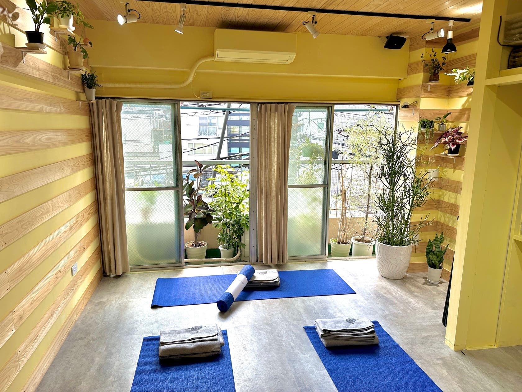 ドイツ製ヨガマット （無料）【basic extra】4.6mm　エコテックスの画像1