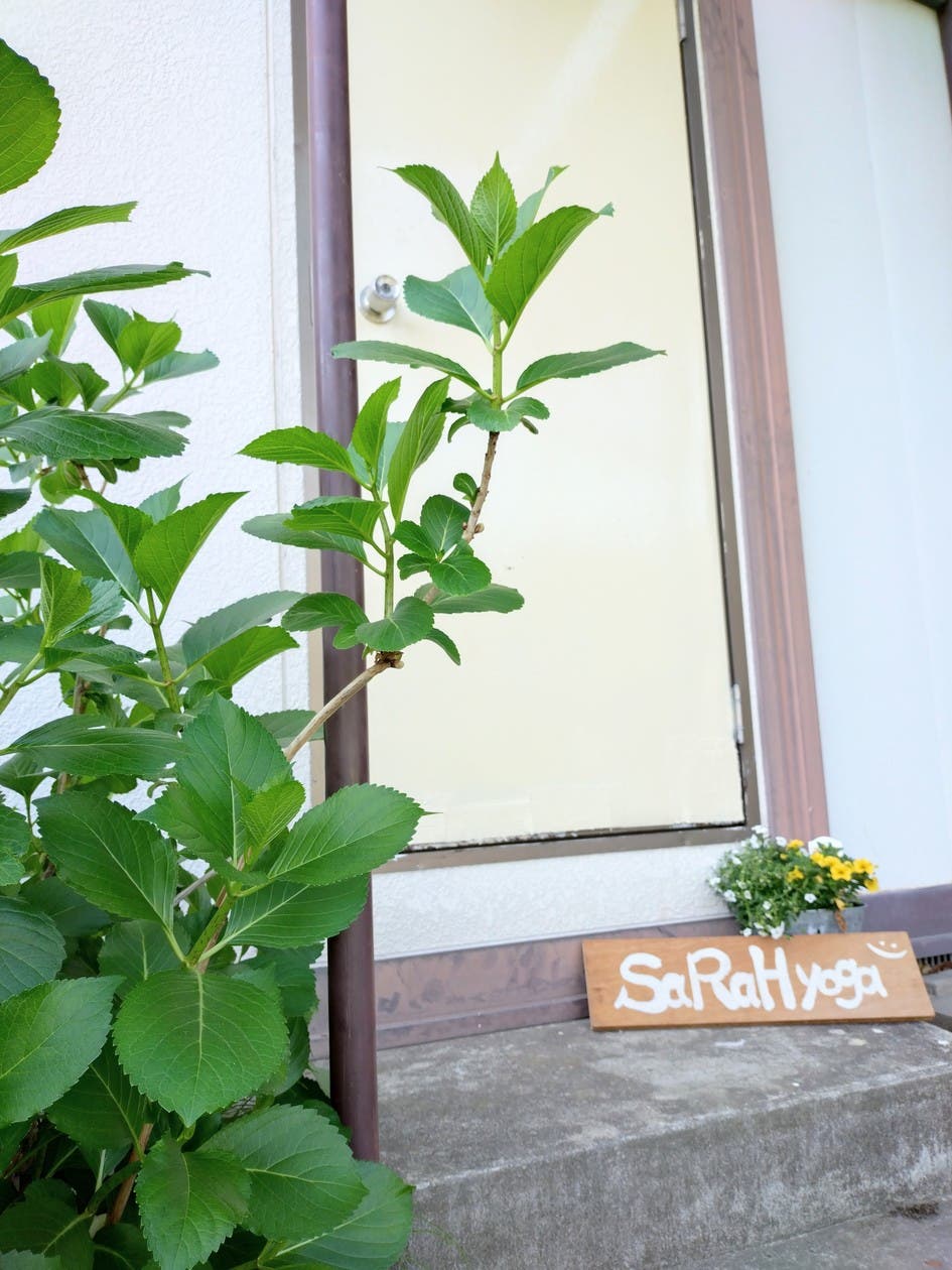 仙台富沢駅から徒歩15分の隠れ家スタジオの写真5