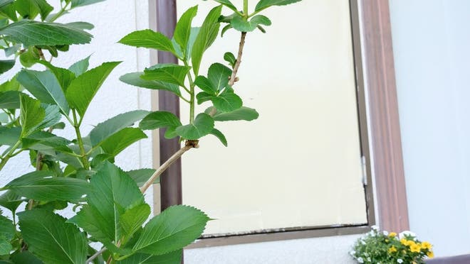 仙台富沢駅から徒歩15分の隠れ家スタジオの写真5