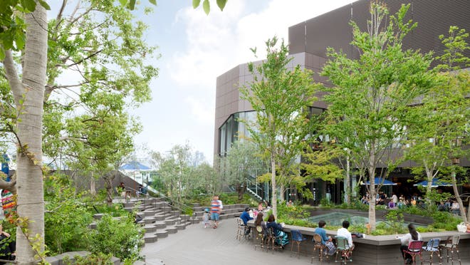 6F おもはらの森【明治神宮前駅1分】展示会やパーティー等に最適な東急プラザ表参道原宿内のイベントスペースの写真3