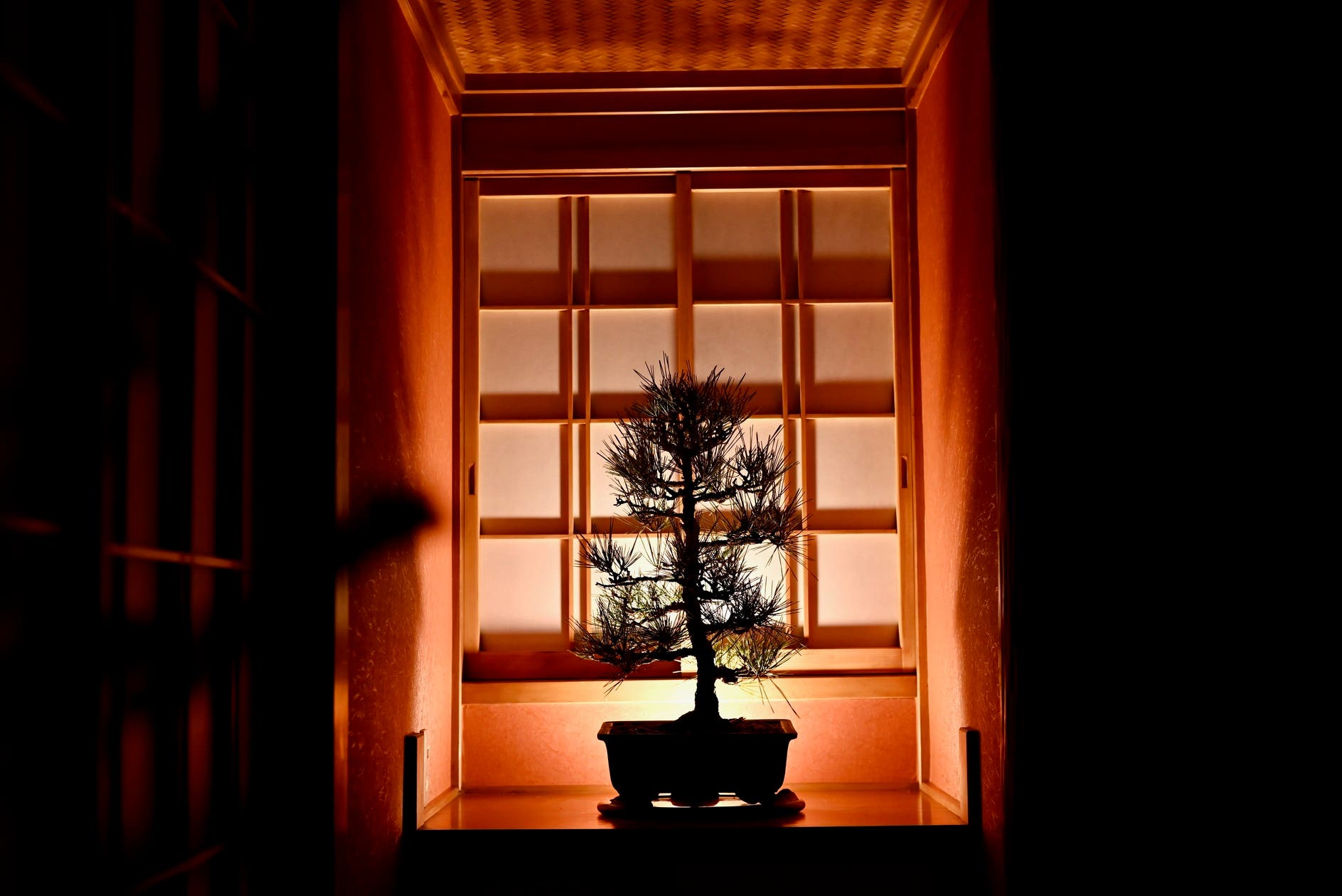 星５★レビュー連発◎高級ヴィラ1,2階スペース（和モダン）人気の谷中エリア★日暮里駅チカ徒歩５分の写真6