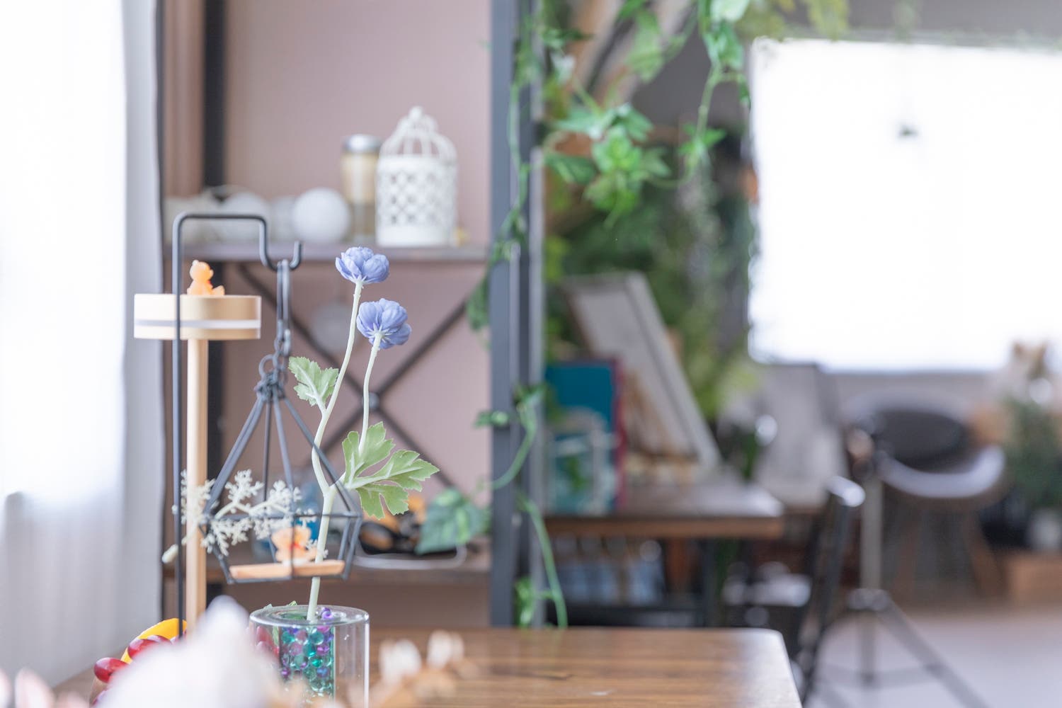 プチリニューアル。控室あり。自然光がたっぷり入る使いやすいシンプルな撮影スタジオ。の写真20