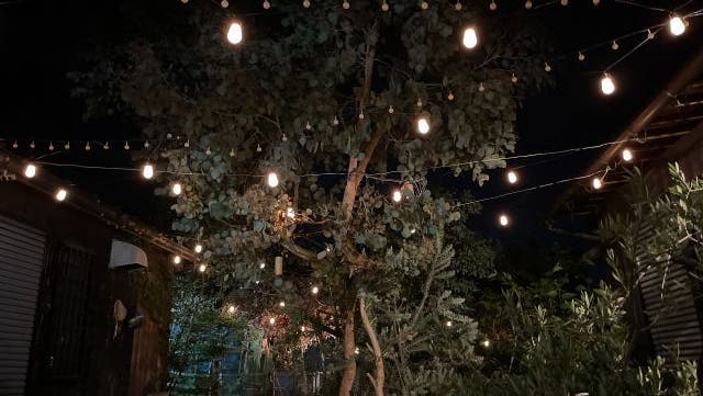 【飲食持ち込み可能】高速WIFI 広い庭で撮影や野外イベントなど 撮影に使用可能!の写真2