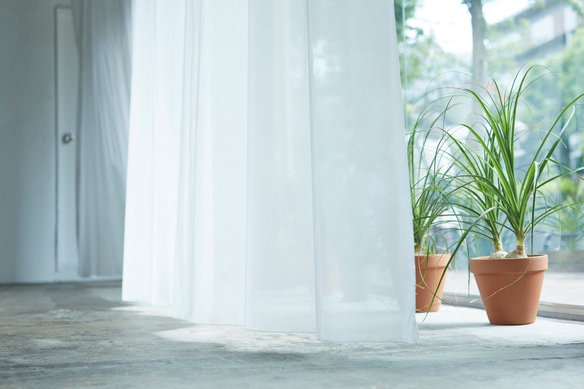 sinca kitchen | シンカキッチンの写真23