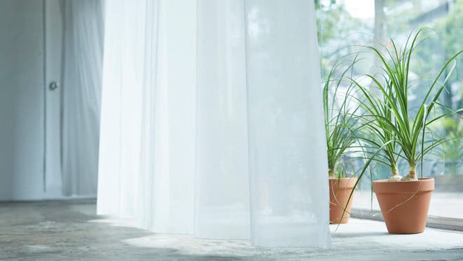 sinca kitchen | シンカキッチンの写真23