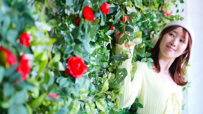 【控室有】モルタル・クンクリート・漆喰壁のある撮影スタジオ/コニカルスヌート/スワッグ/観葉植物/自然光の写真22