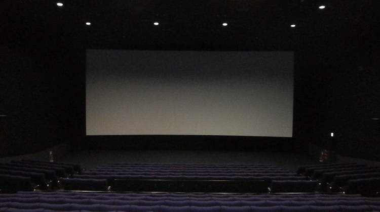 【越谷レイクタウンスクリーン4】映画館がイベントスペースに♪発表会や総会、講演会、表彰式におすすめ!撮影や音楽イベントも歓迎!の写真1