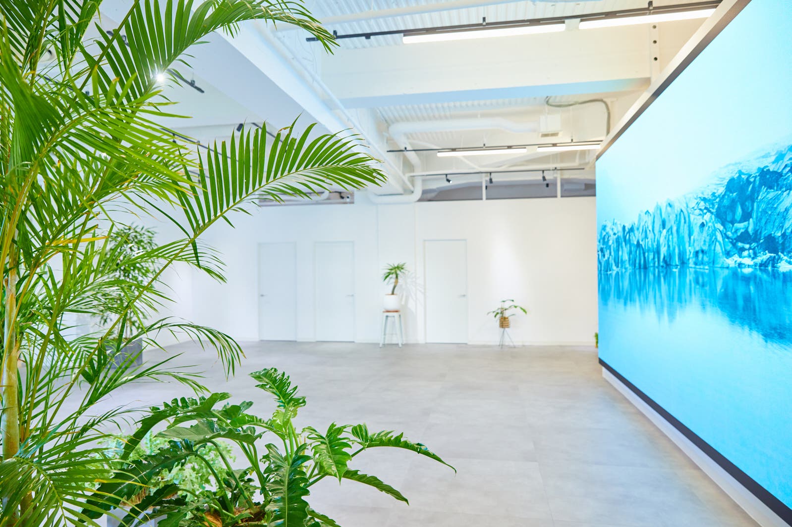 南青山3丁目 / 表参道　大型LEDウォールスクリーンが設置されているレンタルスタジオの写真10