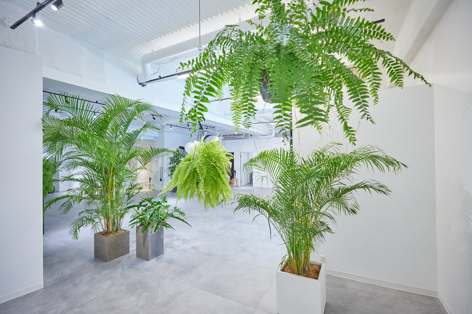 南青山3丁目 / 表参道　大型LEDウォールスクリーンが設置されているレンタルスタジオの写真11