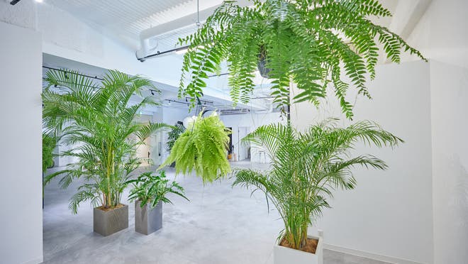 南青山3丁目 / 表参道 大型LEDウォールスクリーンが設置されているレンタルスタジオの写真11