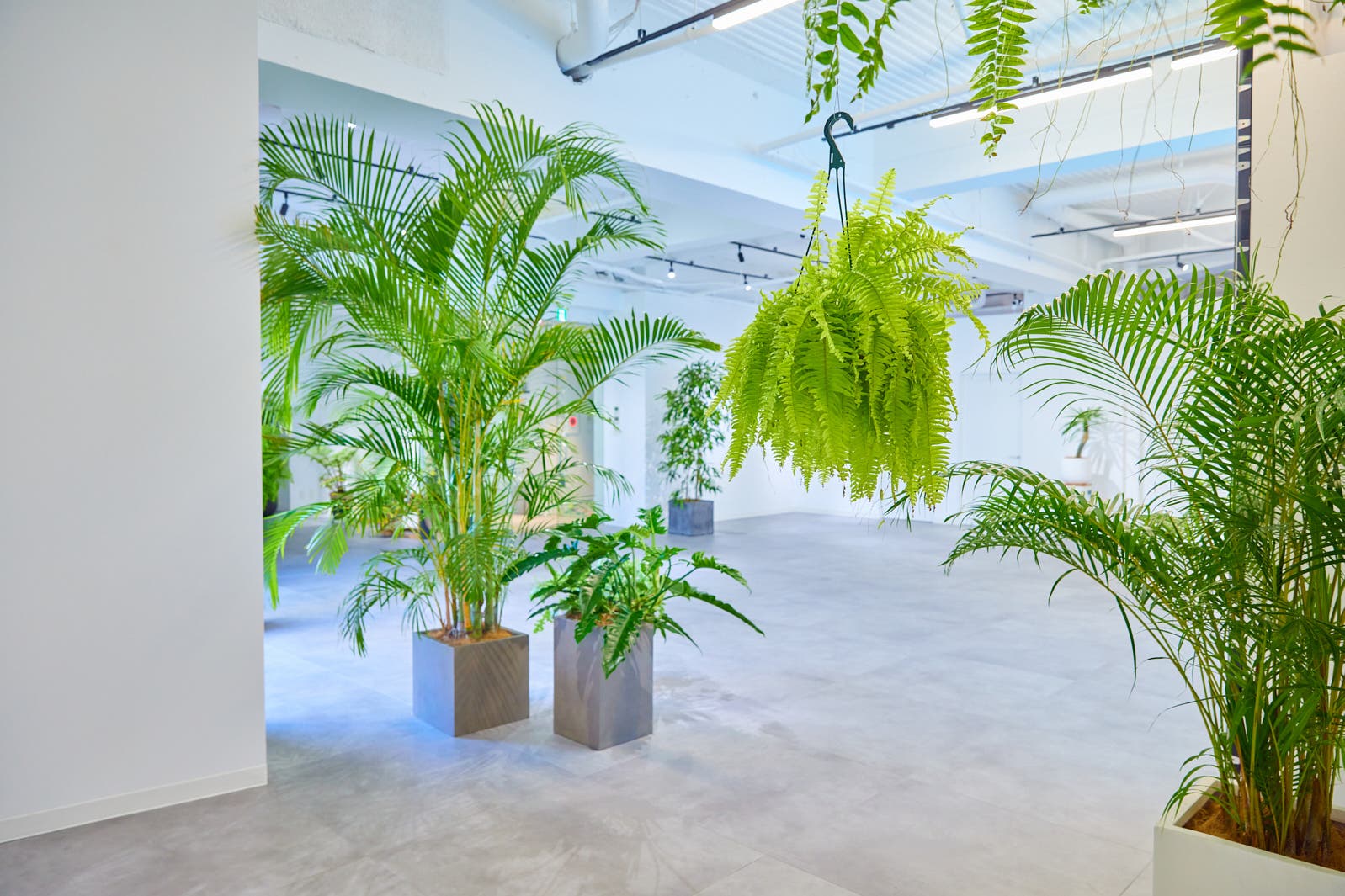 南青山3丁目 / 表参道　大型LEDウォールスクリーンが設置されているレンタルスタジオの写真12