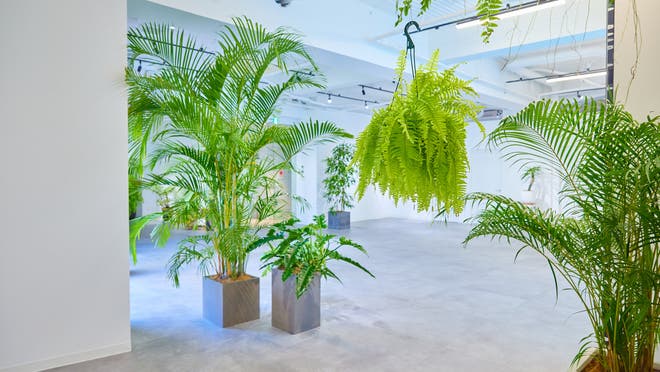 南青山3丁目 / 表参道 大型LEDウォールスクリーンが設置されているレンタルスタジオの写真12