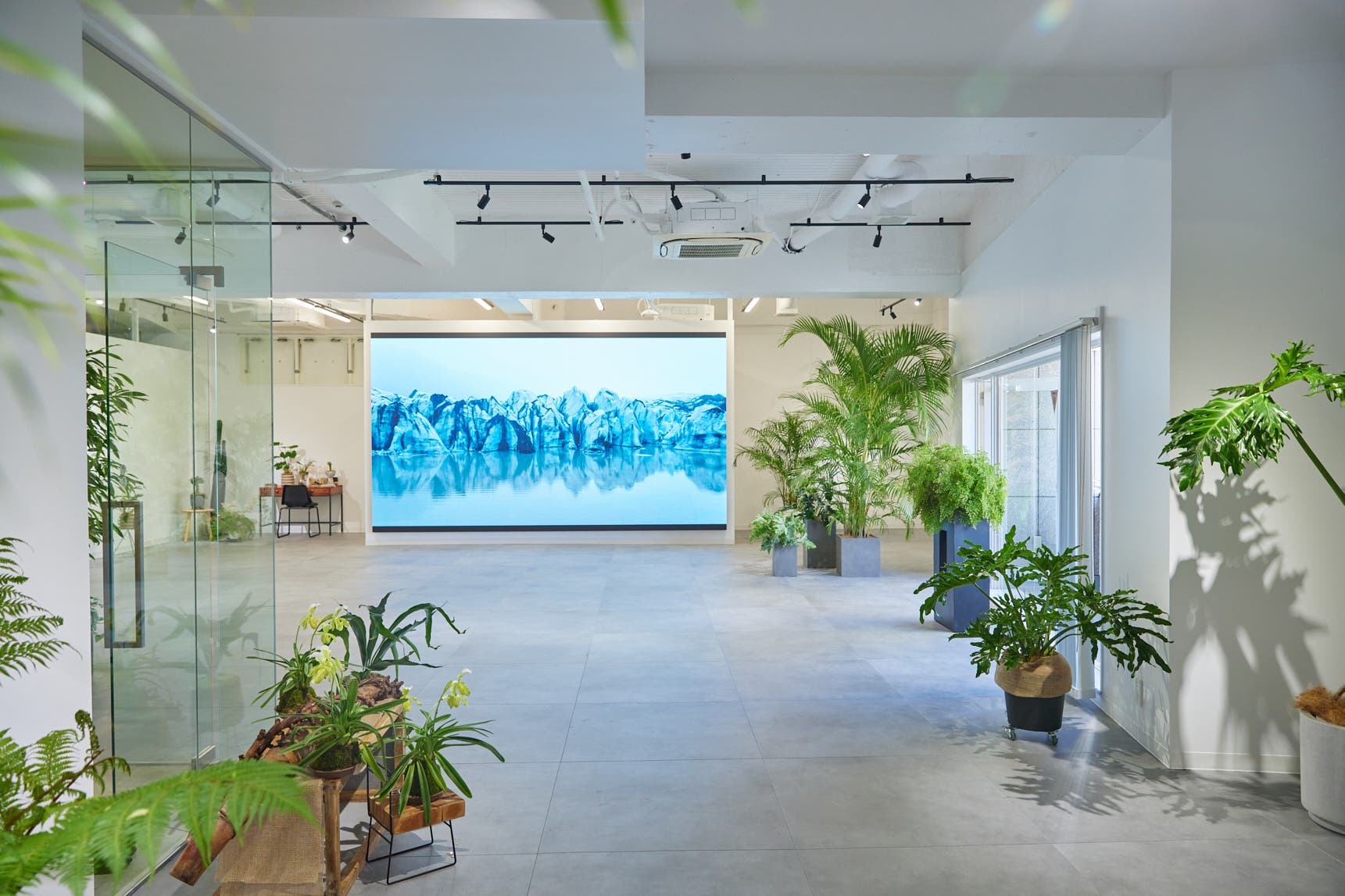 南青山3丁目 / 表参道　大型LEDウォールスクリーンが設置されているレンタルスタジオの写真15