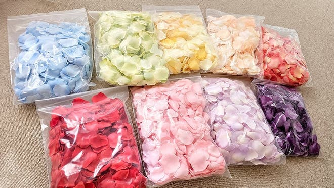 【R6.12壁面塗装✨】推しの城☆ 推しの祭壇有!推し会特化部屋【水前寺駅徒歩3分】の写真24