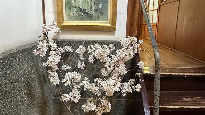 鎌倉の 明治時代の古民家 アンティークアンティークショップでの撮影の写真19