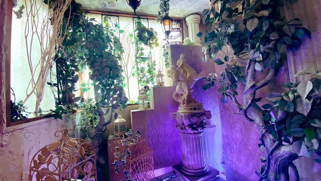 スタジオハムスター2匹目! コスプレ撮影、アーティスト撮影、ドール撮影などに♪ 商業利用も可能!の写真19