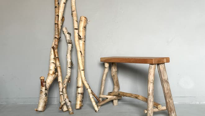 【控室有】モルタル・クンクリート・漆喰壁のある撮影スタジオ/コニカルスヌート/スワッグ/観葉植物/自然光の写真12